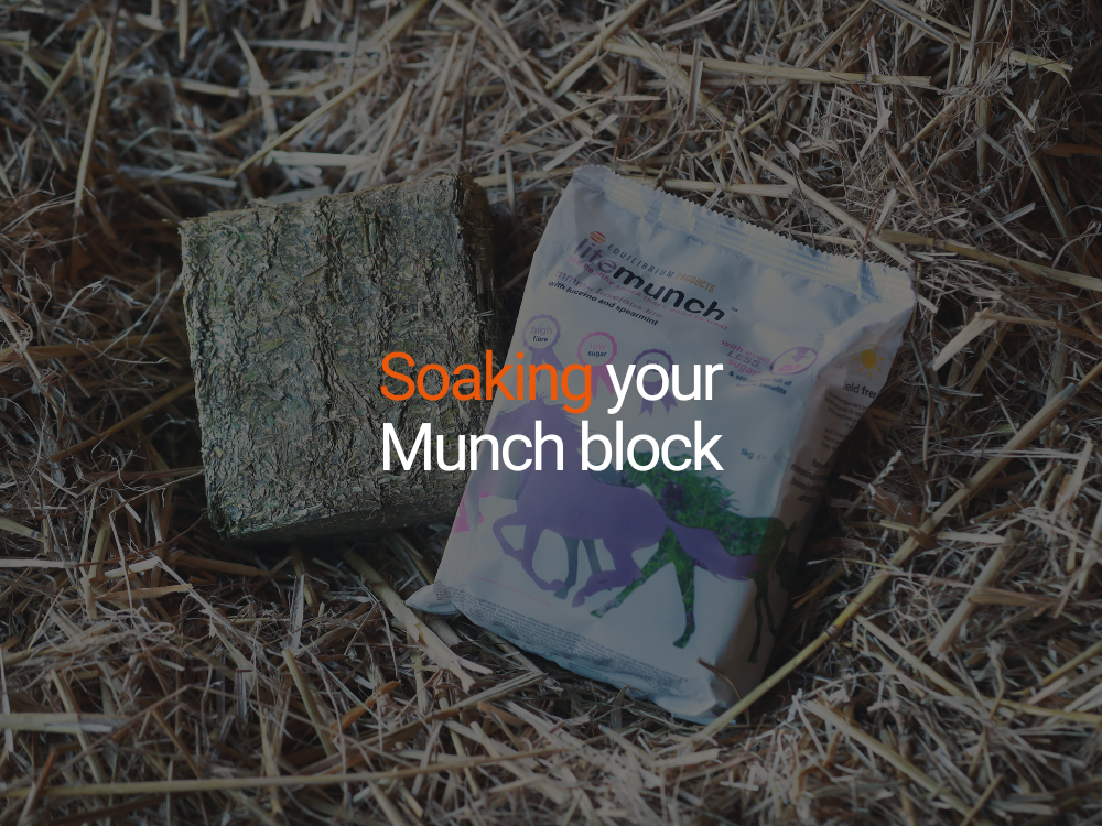Soaking your Munch Block – Equilibrium