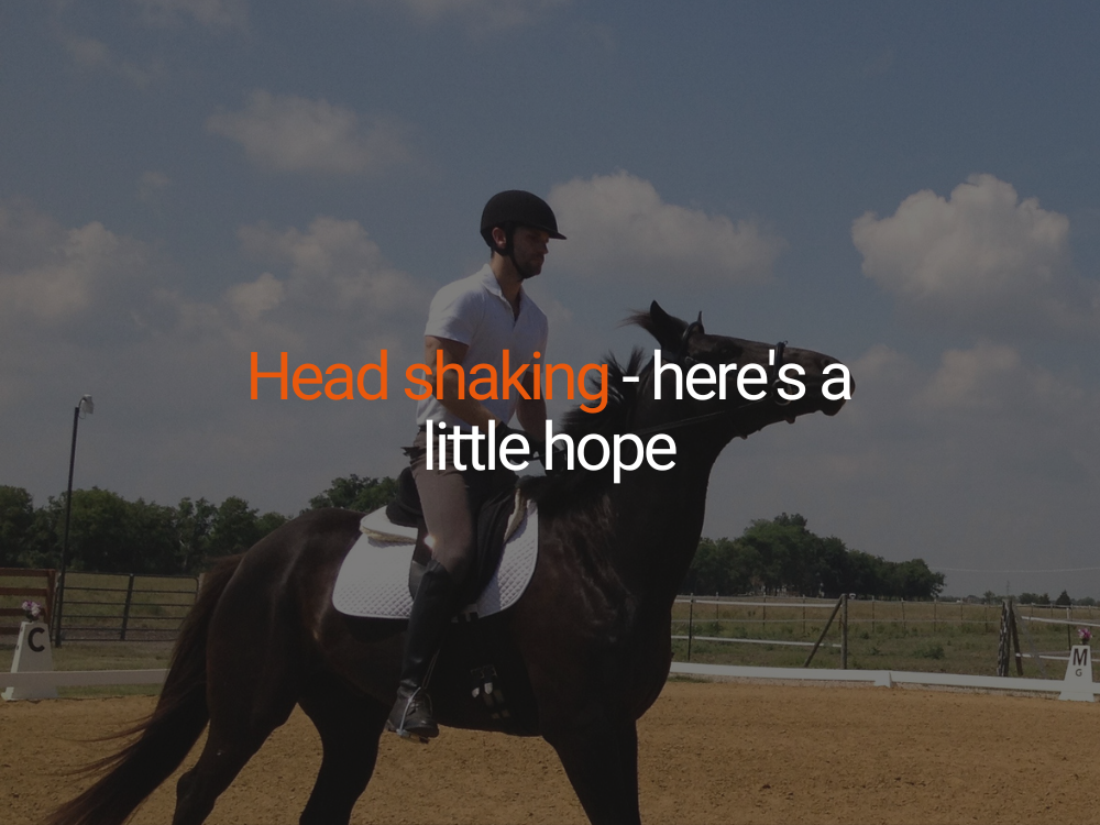 Head shaking - here's a little hope! – Equilibrium