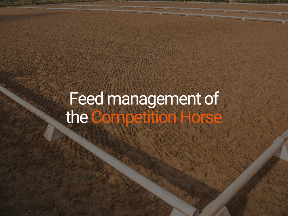 Feed management of the Competition Horse – Equilibrium