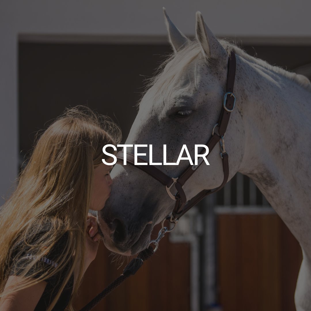 Stellar – Equilibrium