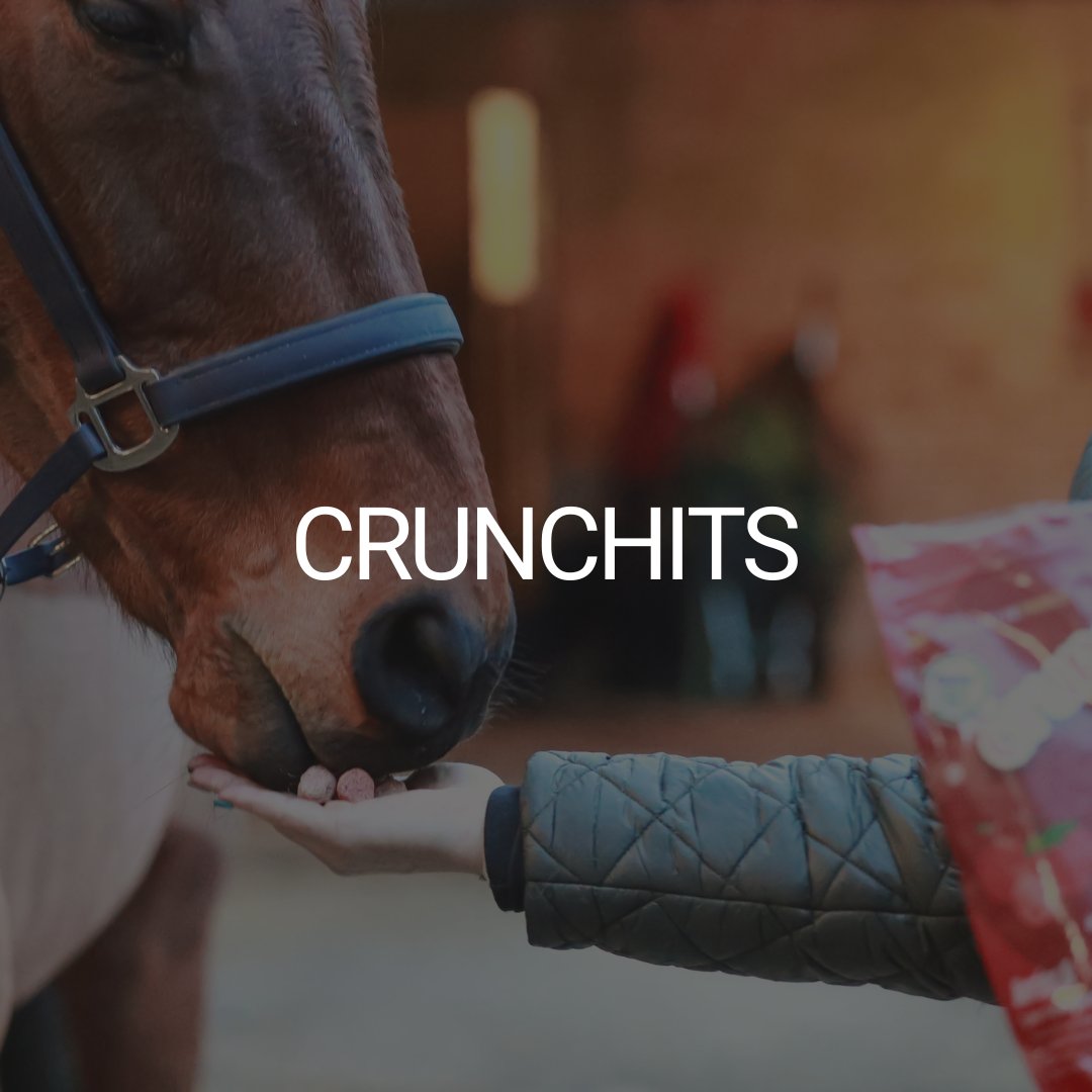 Crunchits – Equilibrium