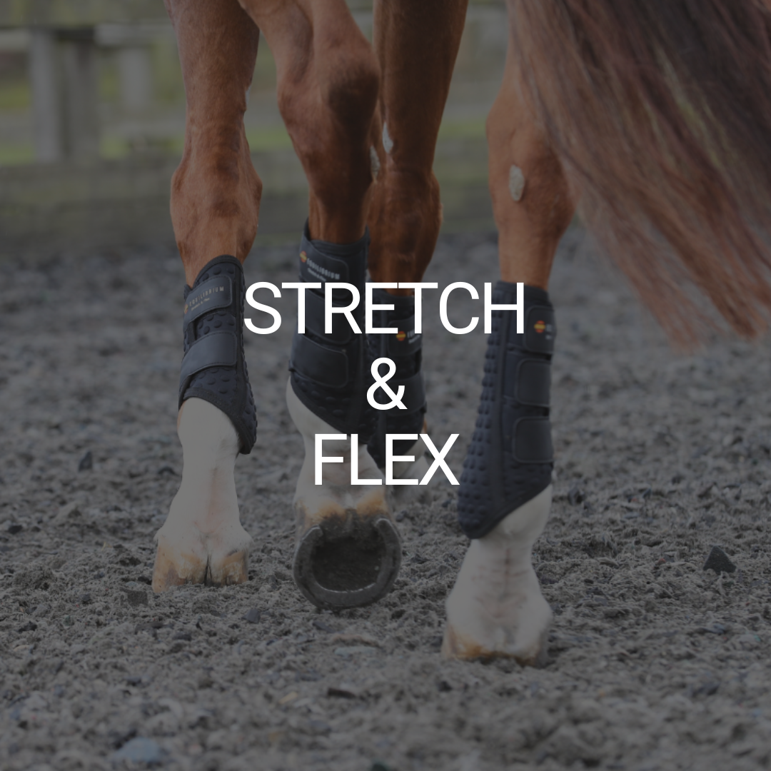 Stretch & Flex – Equilibrium
