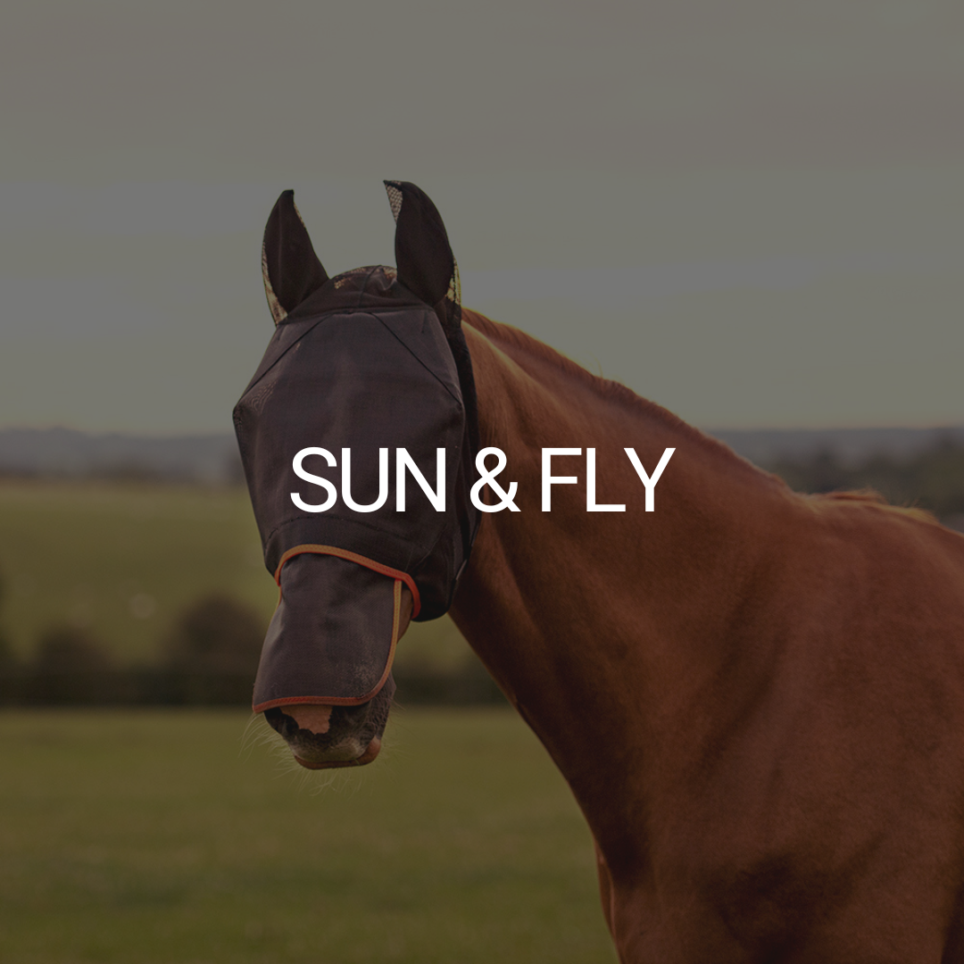 Sun & Fly – Equilibrium