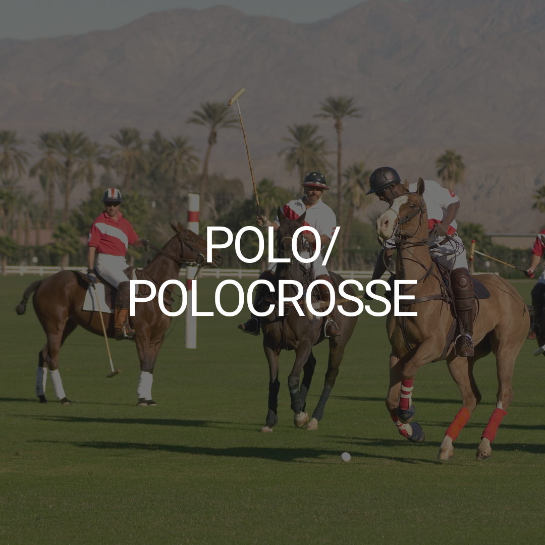 Polo/Polocrosse – Equilibrium