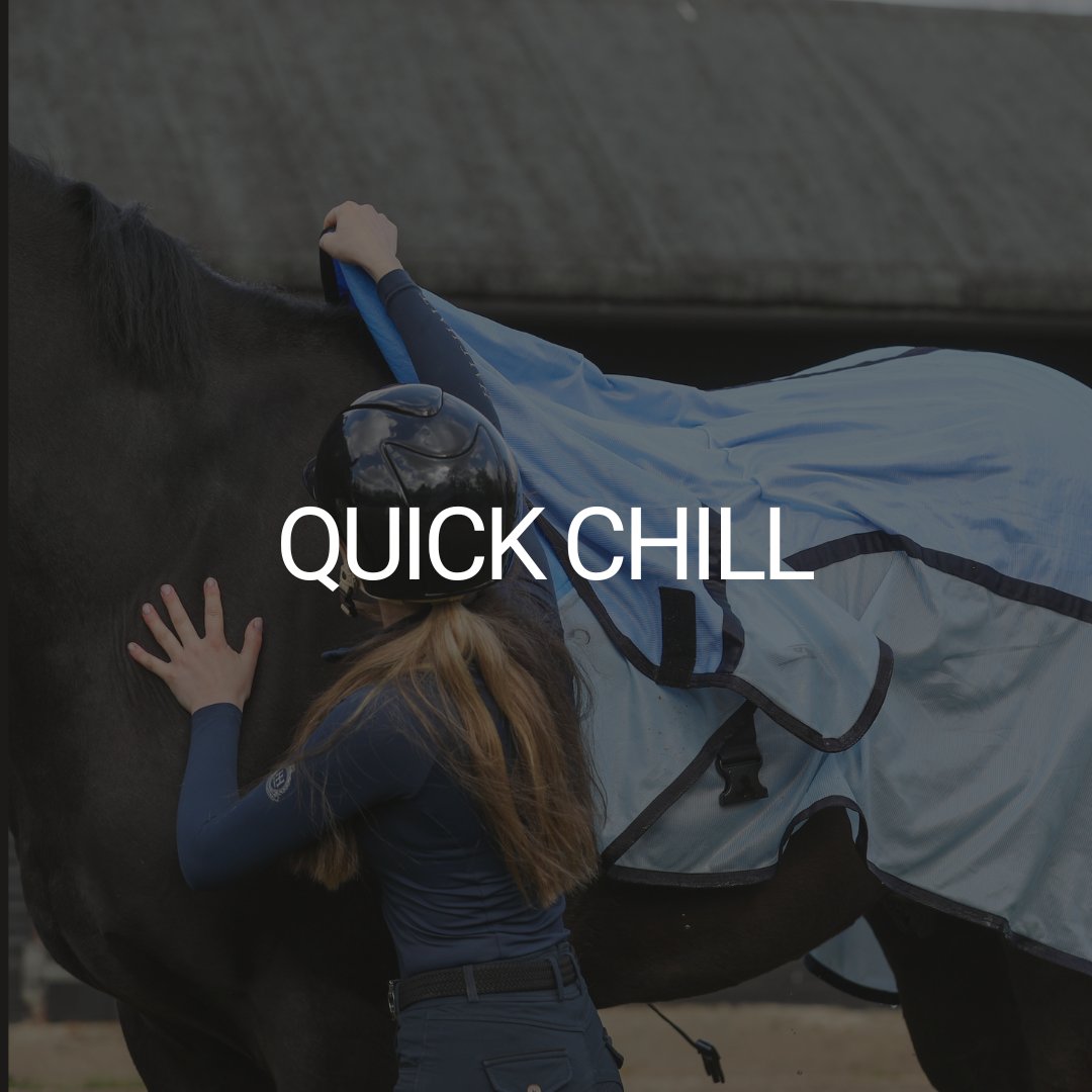 Quick Chill – Equilibrium