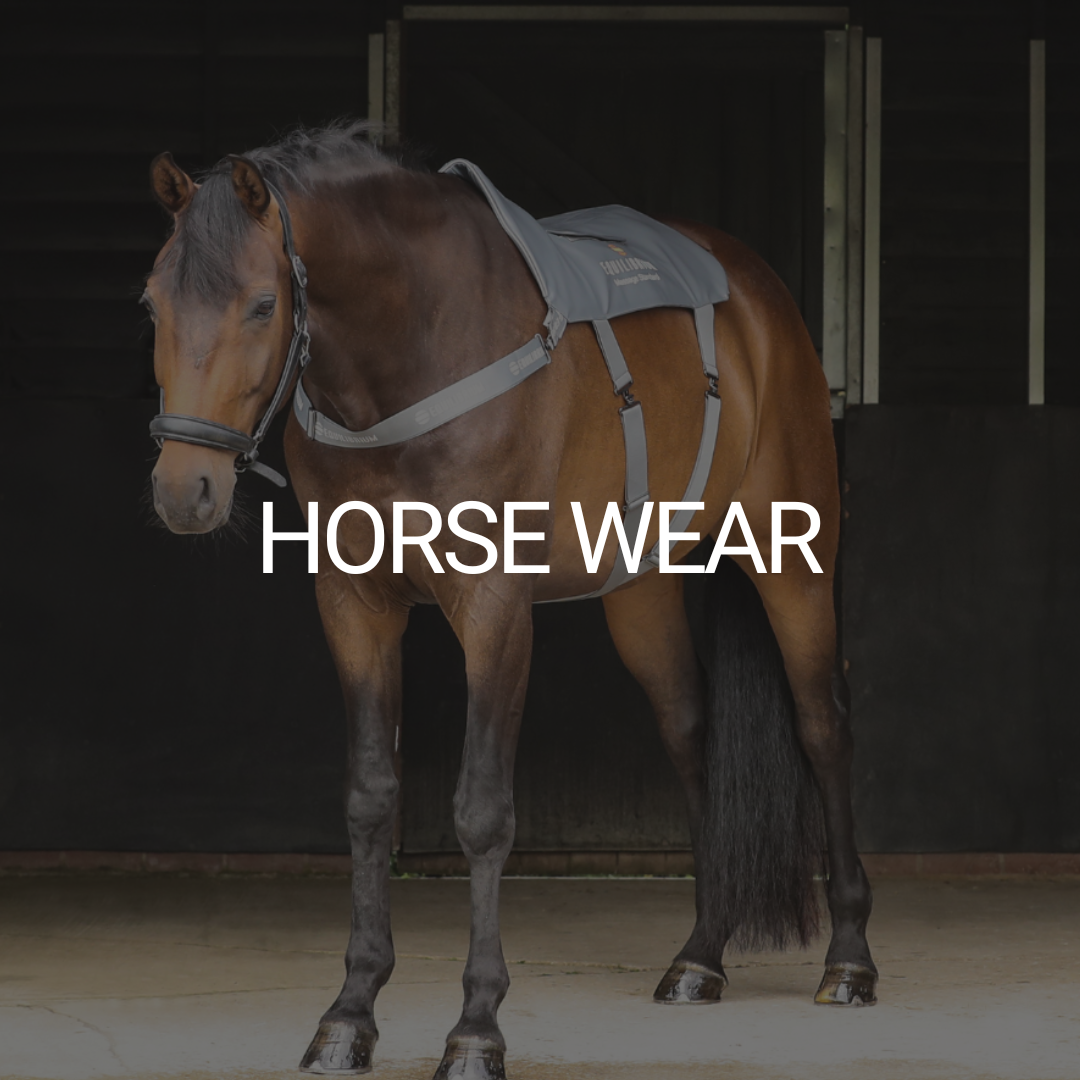 Horse Wear – Equilibrium