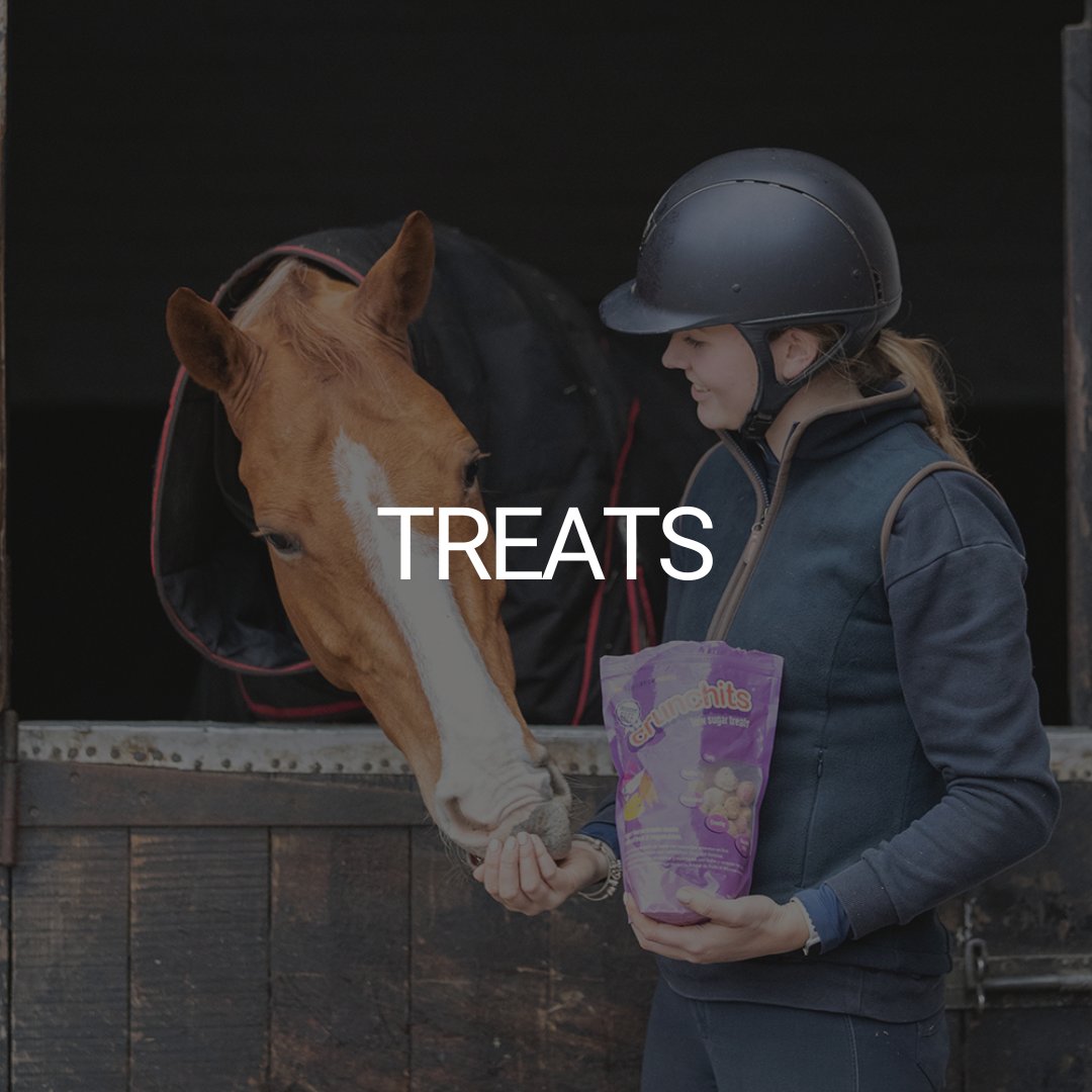 Treats – Equilibrium