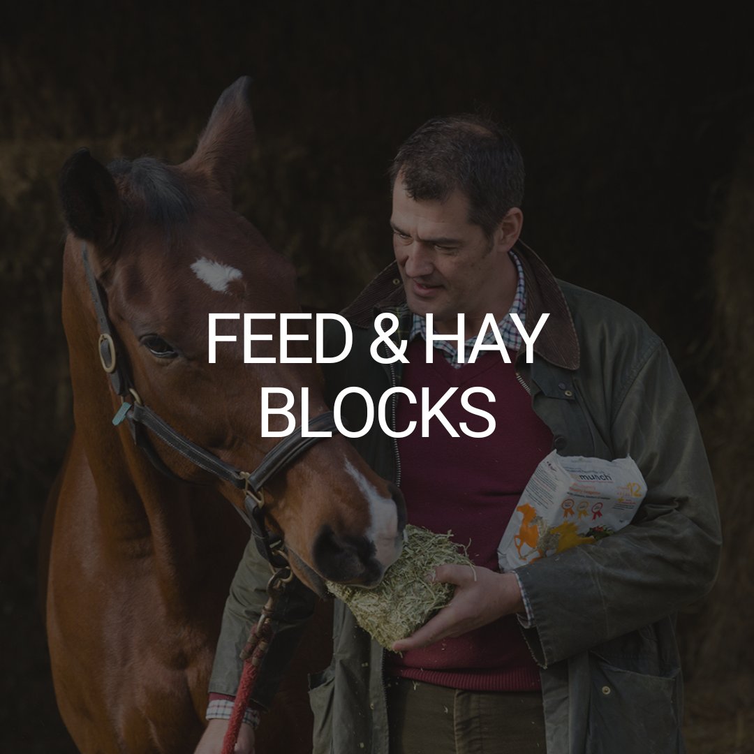 Feed & Hay blocks – Equilibrium