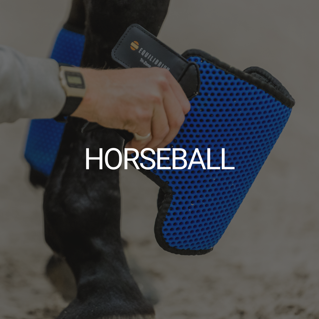 Horseball – Equilibrium