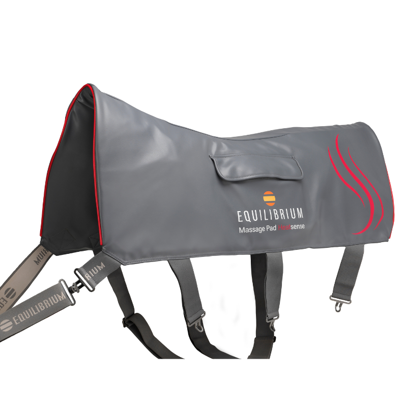 Litemunch Low Sugar Fibre Block For Horses – Equilibrium