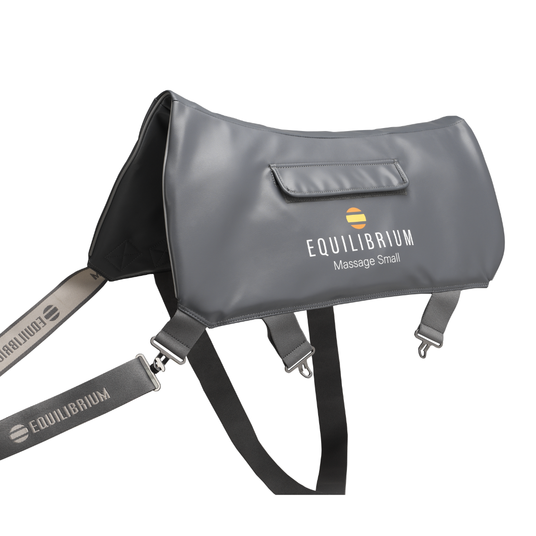 Le Jarret du Cheval - Traitements et symptômes de la boiterie du jarre ...