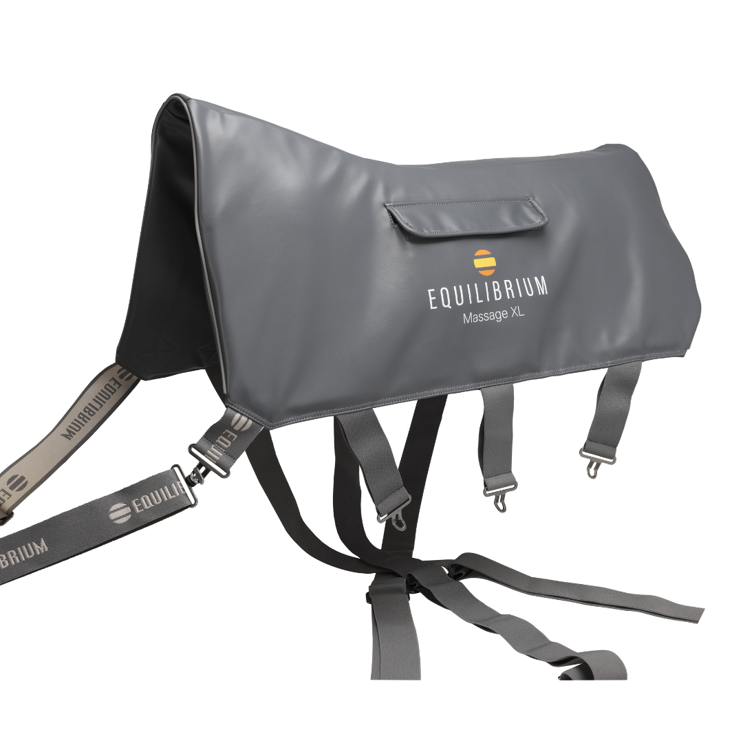 Massage Pad Competition April 2026 – Equilibrium