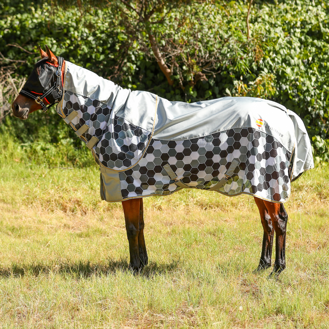 Waterproof Fly Rug with Detachable Neck – Equilibrium